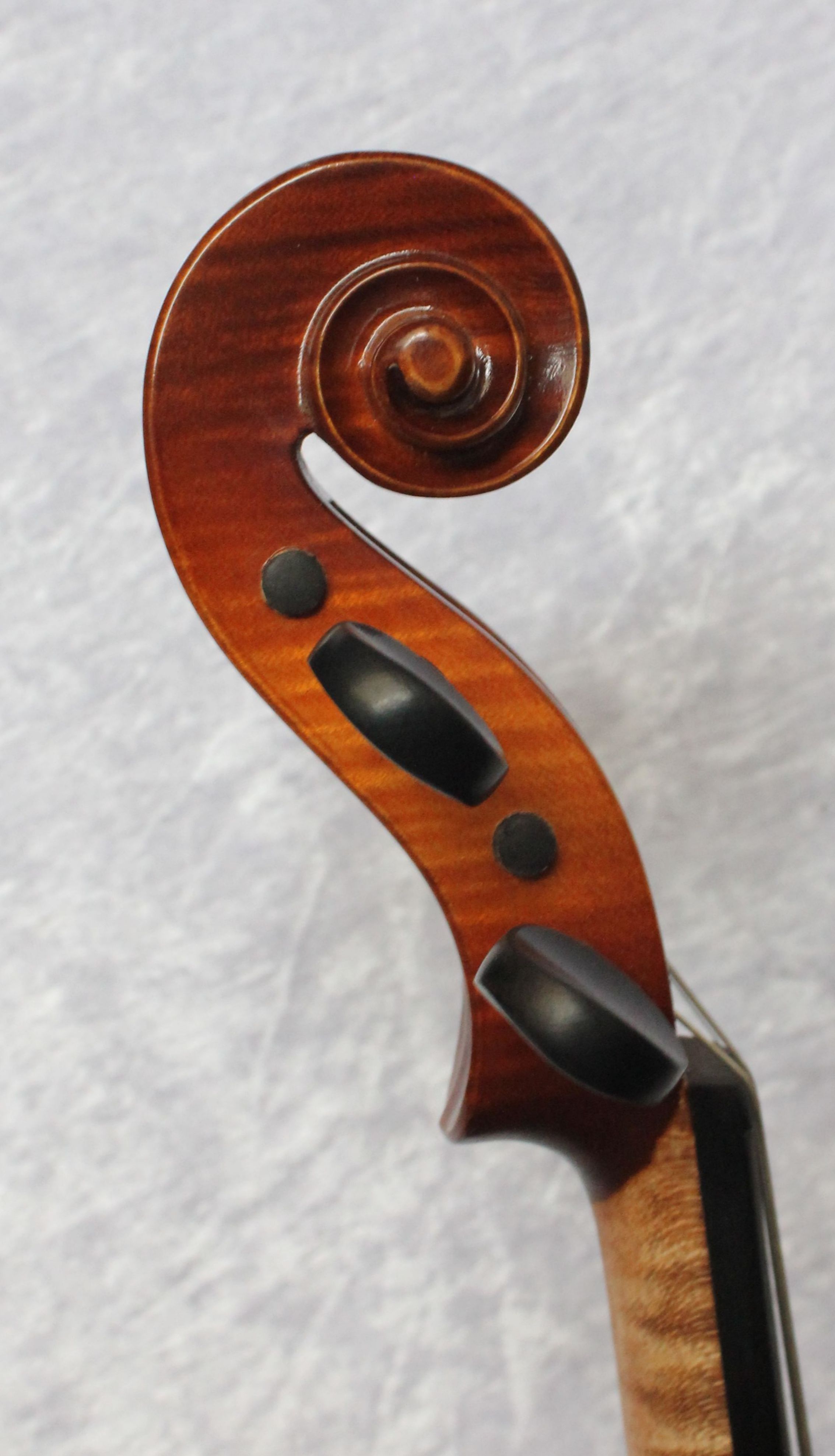 Tartini Student Violin Blue Danube Violins Wien