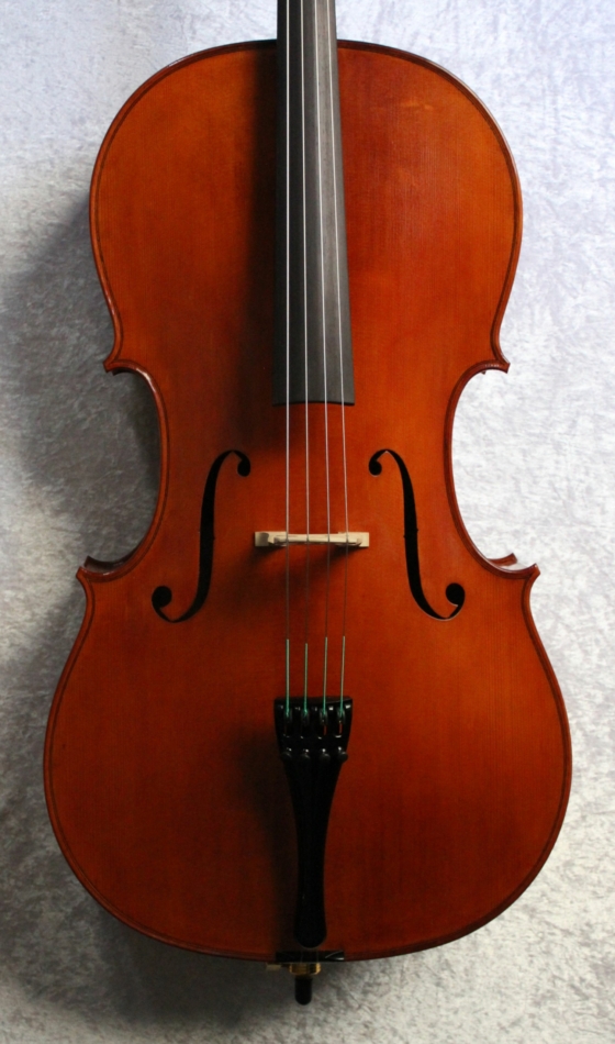 Enescu Superior - Blue Danube Violins Wien