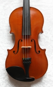 Violins - Best European Master Violinmakers - Vienna, Austria - Blue Danube