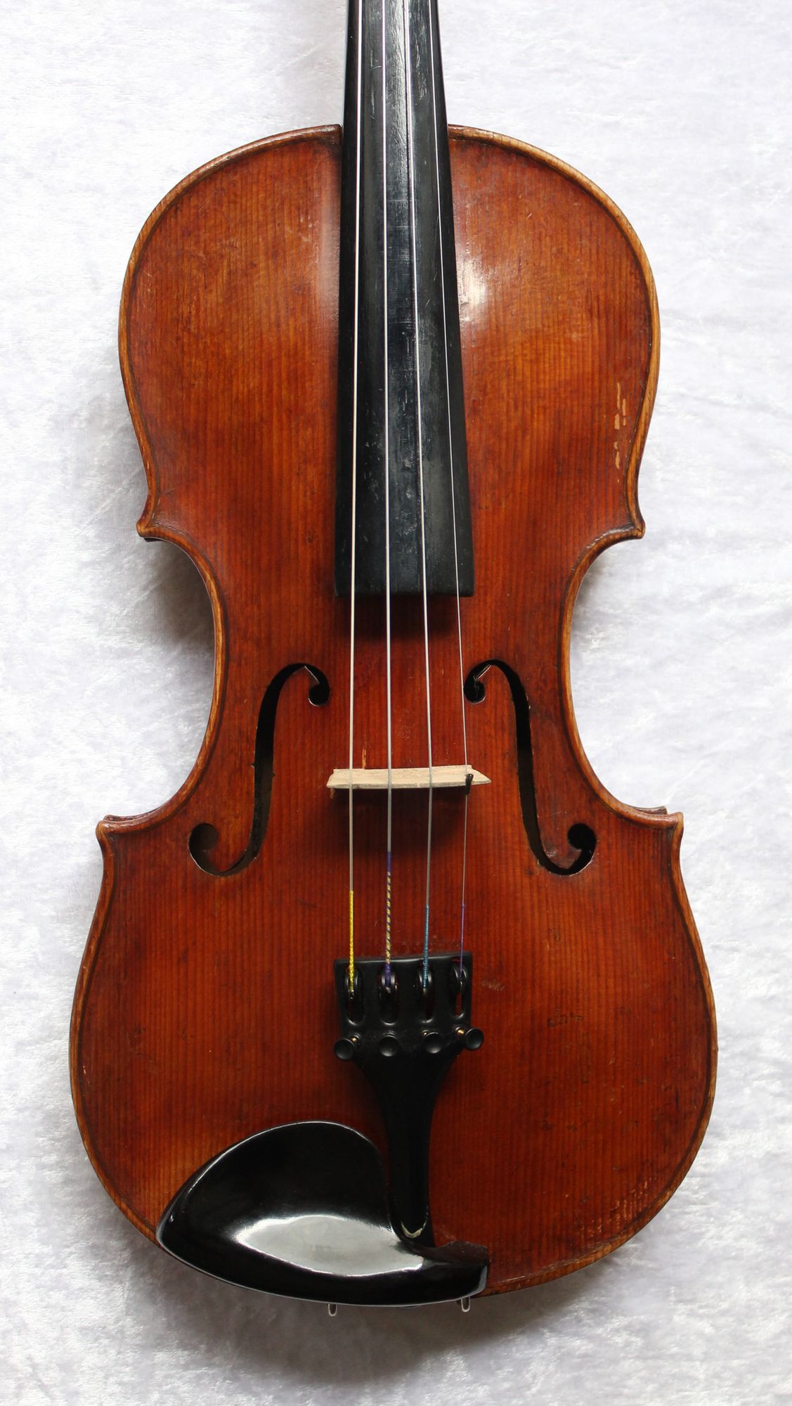 DEUTSCHE GEIGE - Blue Danube Violins Wien