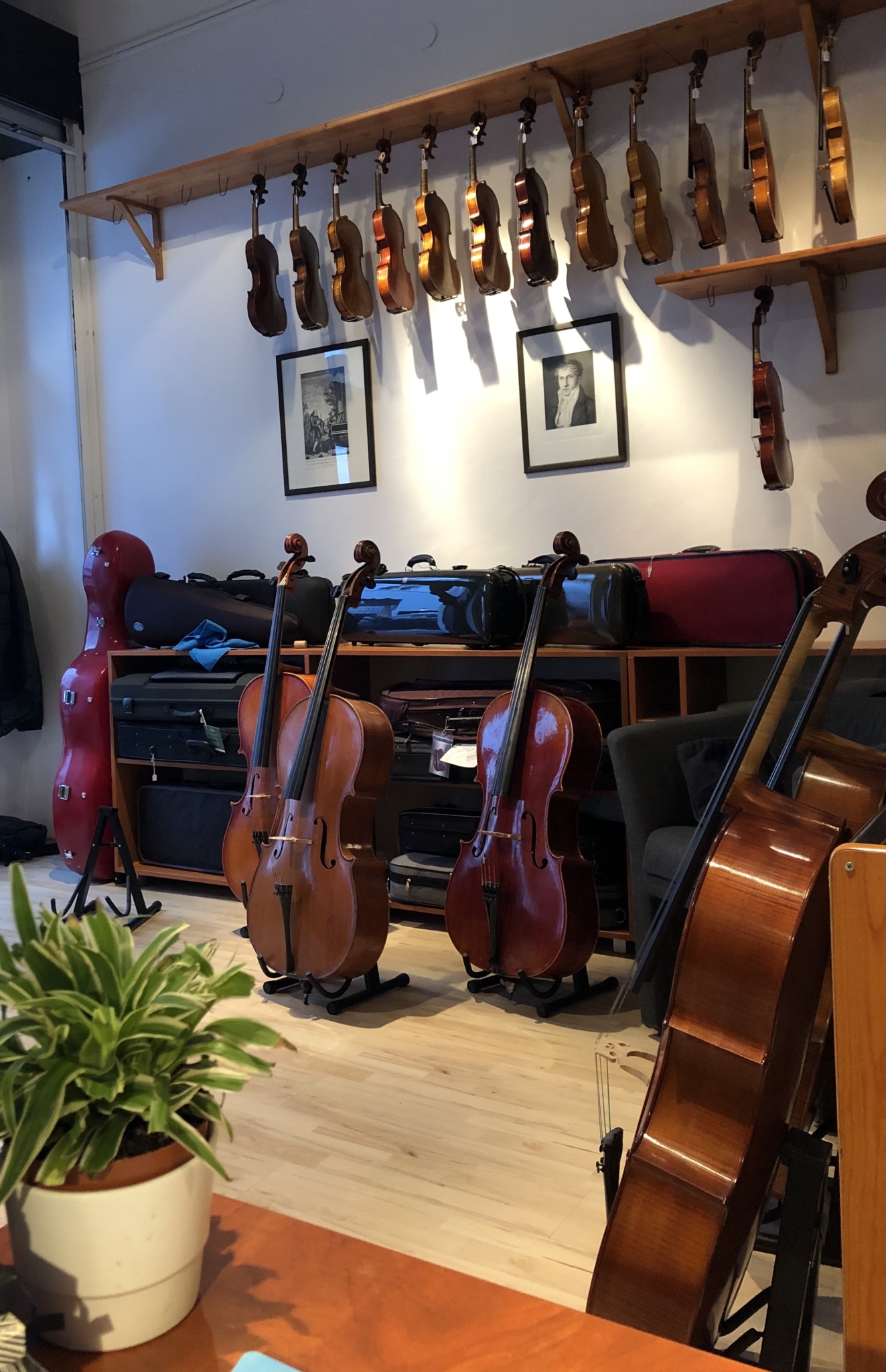 Violins and string Instruments - Vienna, Austria - Blue Danube Violins