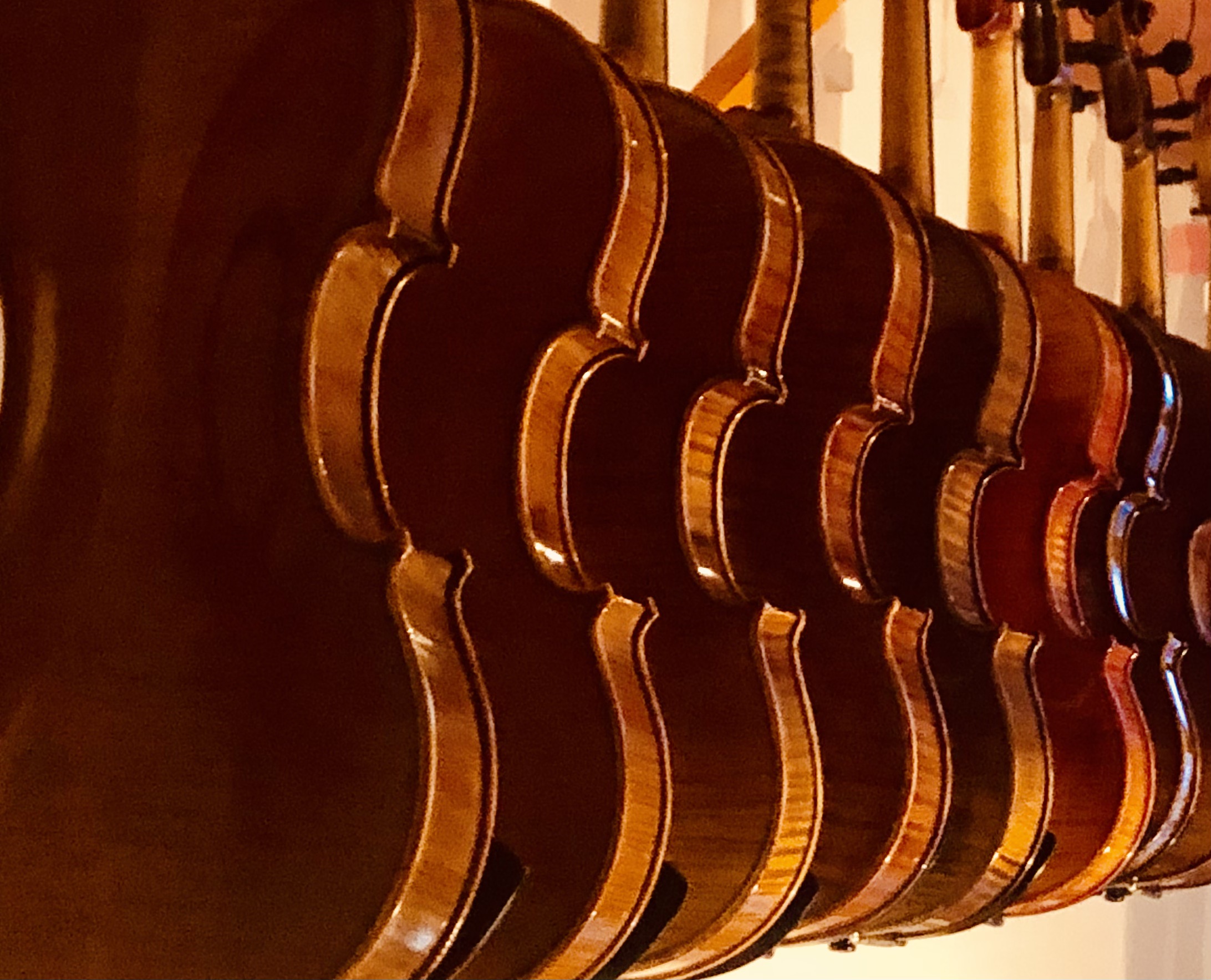 Contact - Blue Danube Violins - Vienna, Austria