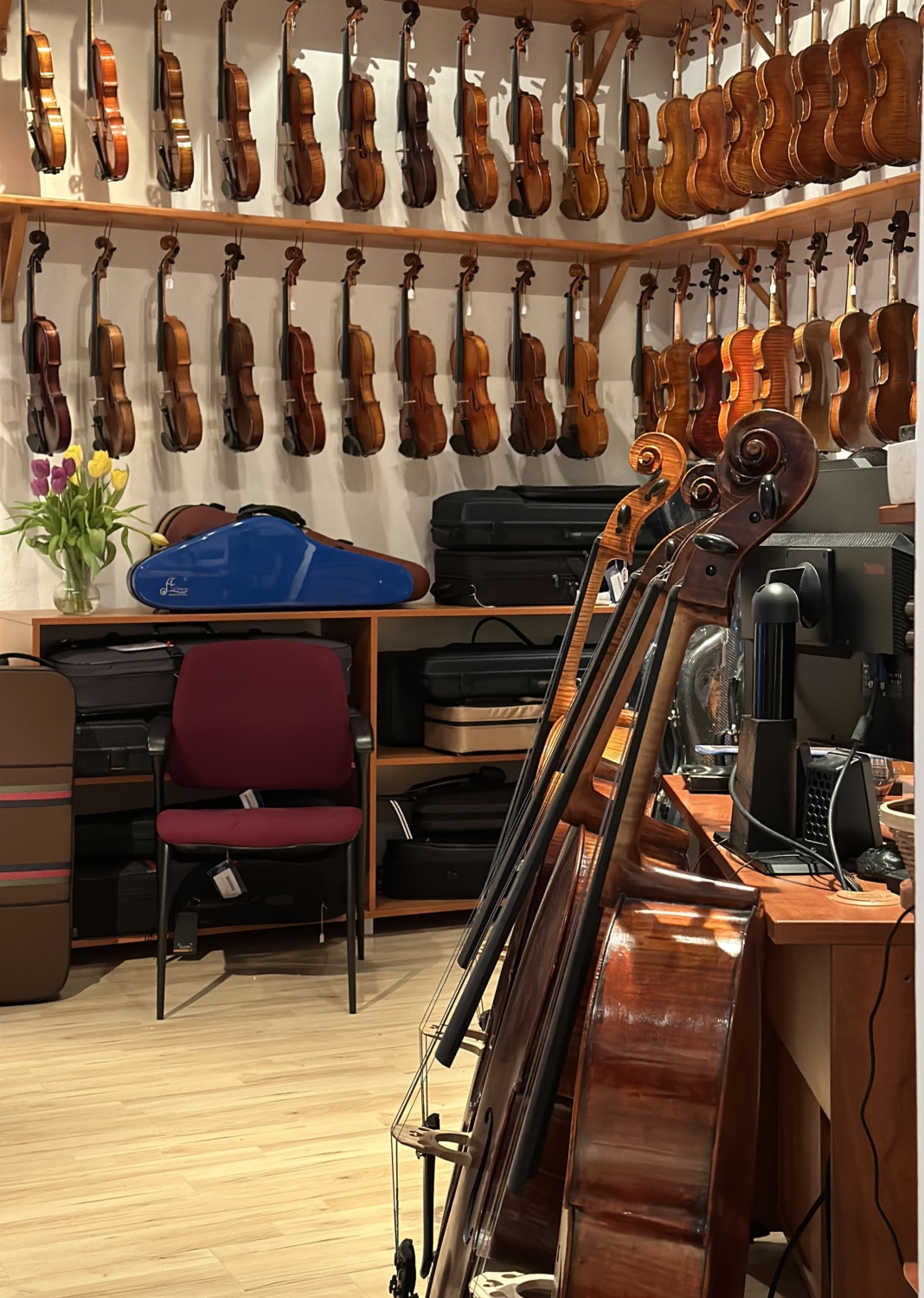 Violins and string Instruments - Vienna, Austria - Blue Danube Violins